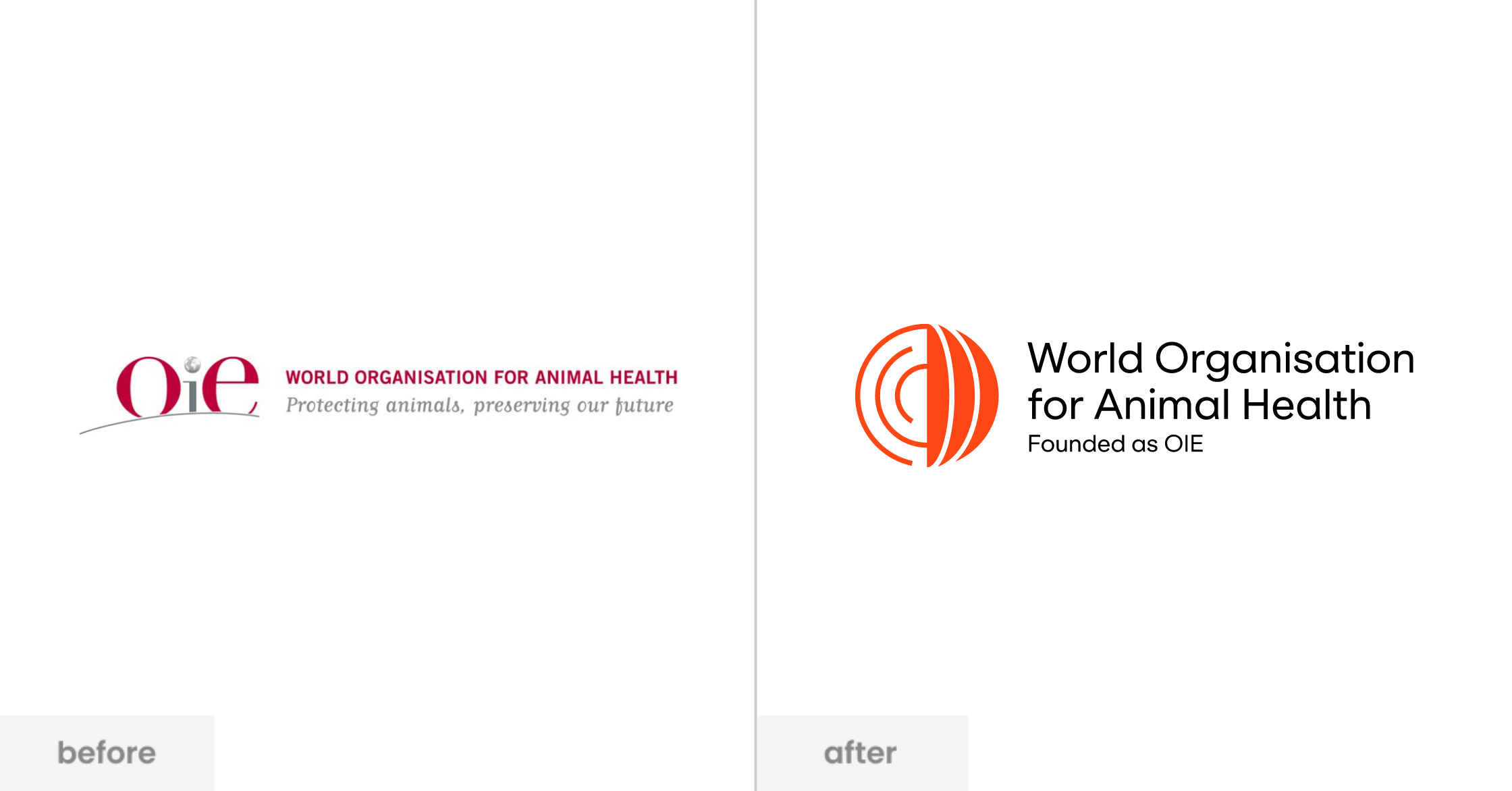 World Organization for Animal Health rebrands to increase clarity for ...